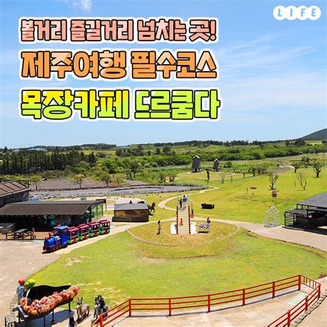 제주라이프 볼거리 놀거리 천국 제주서귀포 목장카페드르쿰다 친구 연인 가족이 다 함께 즐기기에