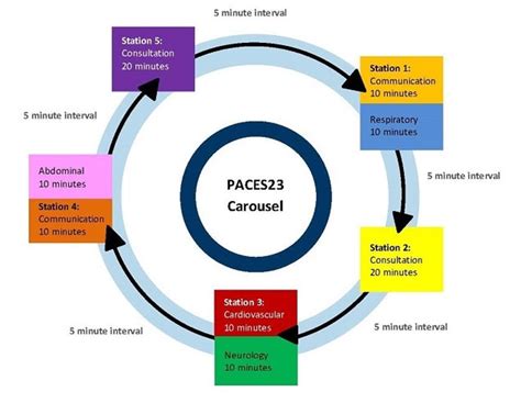 The PACES Exam A Brief Guide