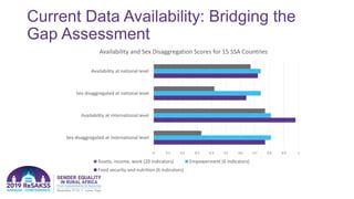 The Promises And Challenges Of Gender Data PPT