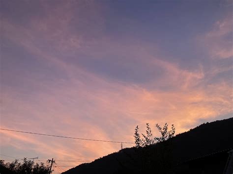 空の短歌 ならかわ桜プロジェクト 短歌の詠みたくなる風景