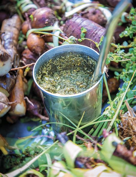 La Yerba Mate Y Nuestro Preciado Tereré Alacarta