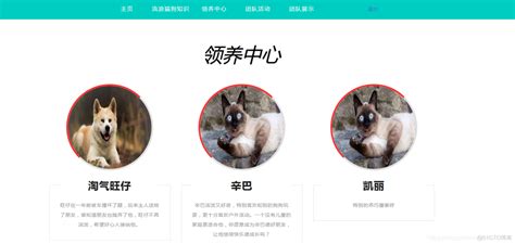 基于springboot宠物领养管理系统的设计与实现 宠物领养计划flyingsmiling的技术博客51cto博客