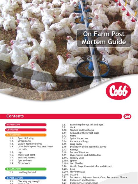 English On Farm Post Mortem Guide For Broilers Pdf Gastrointestinal Tract Small Intestine