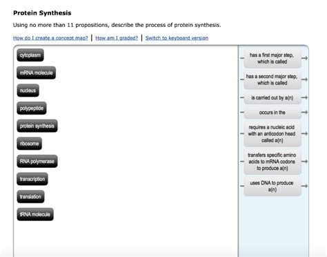 solved protein synthesis using no more than 11