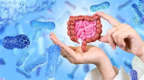 Health इन संकेतों से करें खराब Gut Health की पहचान कई गंभीर