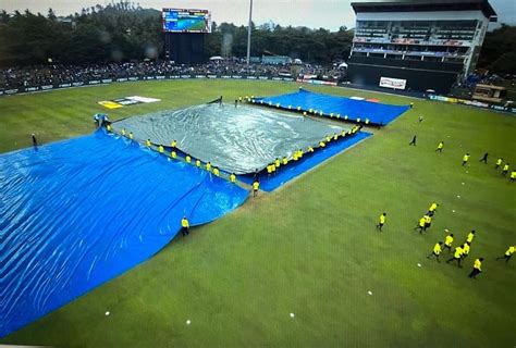 Cricket Fielding Positions Explaining Each Basic Position