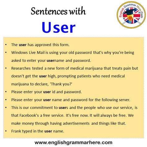 Sentences With User User In A Sentence In English Sentences For User