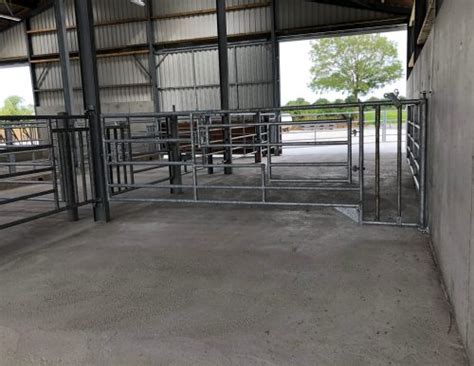 Beef Cattle Housing O Donovan Engineering