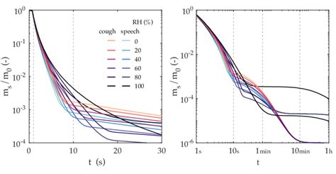Detail Of The Time Evolution Of Total Mass Normalised By The Respective