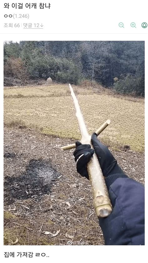 줍지않는다면 남자가 아닌 물건 유머 움짤 이슈 에펨코리아