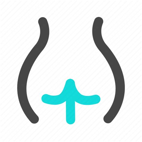 Body Buttocks Fitness Health Healthcare Hospital Medicine Icon