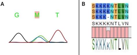 Screenshots From Clc Main Workbench Showing Two Different Examples Of Download Scientific