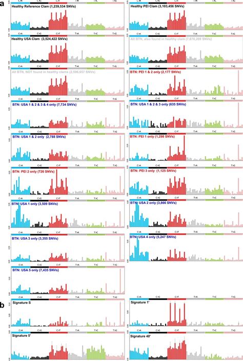 Raw Mutational Spectra And De Novo Extracted Mutational Signatures A