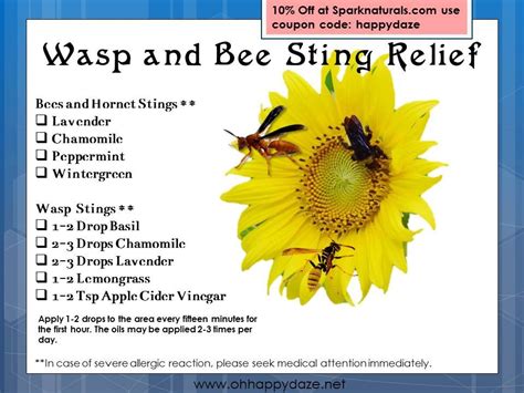 Hornet Bee Sting Treatment Readingfopt