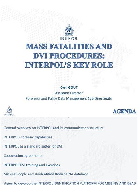 9 Interpol Presentation For Icrc Meeting Pdf National Security Law Enforcement
