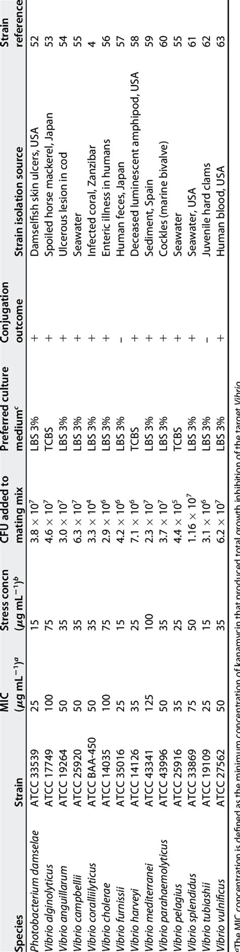 Kanamycin Lethal Limits Gfp Transfer Concentrations Preferred Culture