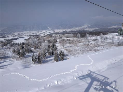 2023鳌山滑雪场玩乐攻略陕西省境内最好的滑雪场了。 【去哪儿攻略】