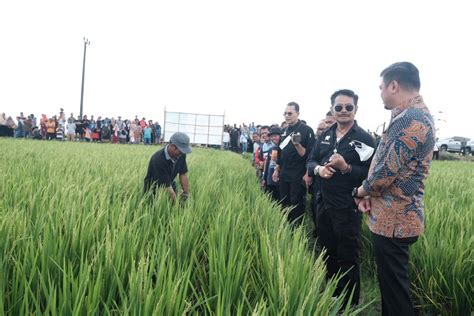 Bupati Adnan Harap Gowa Jadi Percontohan Pengembangan Demplot Tanaman