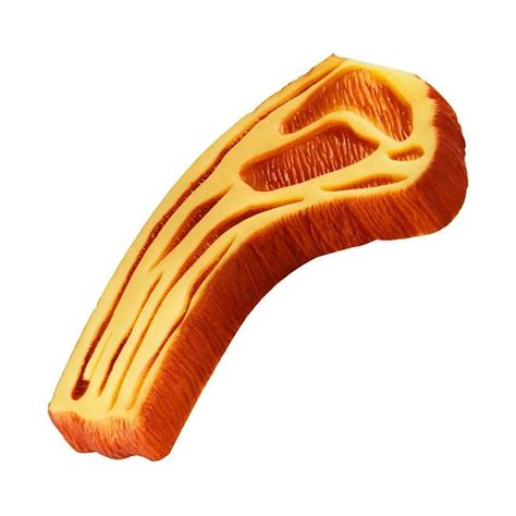 Brinquedo Mordedor Para Cachorro Com Apito Sonoro Bife De Borracha Pet