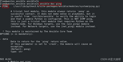 Ansible自动化运维详解（二）ansible管理方式、常用参数及常用模块ansible 时间参数 Csdn博客