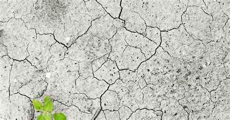 El mapa de las restricciones de agua por sequía así está la situación en cada región
