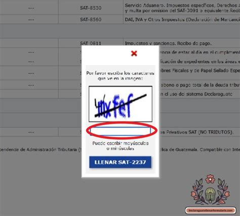 Declaraguate Como Acceder Y Llenar Tus Formularios Guia Paso A Paso