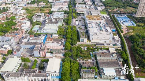 26个项目总投资超5亿，黄江推进特色精品示范村建设南方plus南方