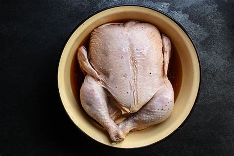 마리 네이드 메뉴 개념에서 원시 닭고기 음식 배경 상단 보기 복사 공간 가금류에 대한 스톡 사진 및 기타 이미지 Istock