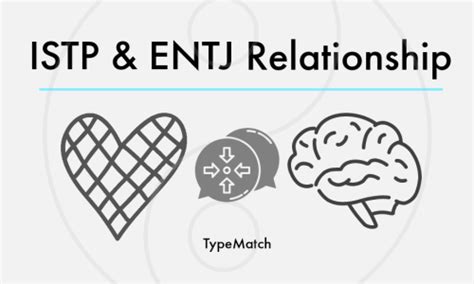 Istp And Entj Relationship Typematch