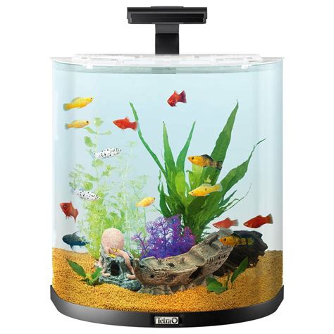 Tetra AquaArt Explorer Line Halfmoon Komplett-Set 60l anthrazit online ...