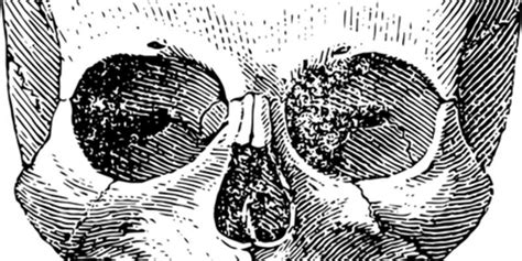 Forensic Taphonomy Content Tag