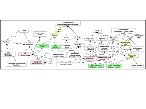 conceptual model of the semantic network to describe the relationships download scientific