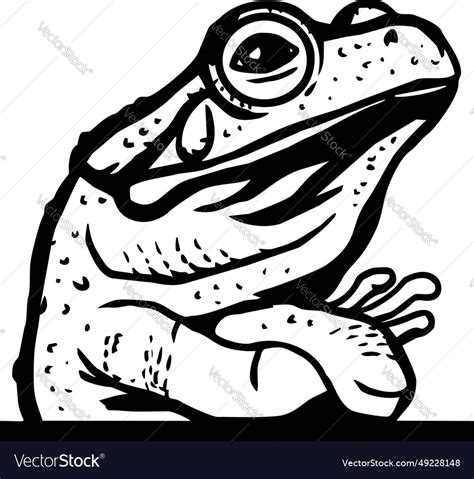 Peeking Frog Funny Frog Peeking Out Face Head Vector Image