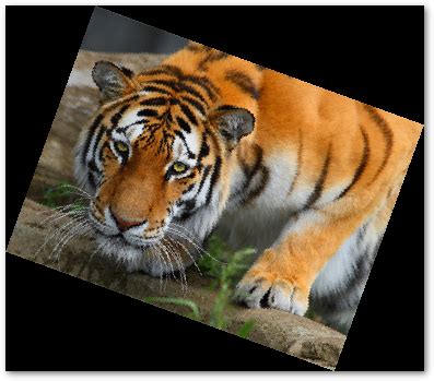 Rotate Images In Java Aspose Java Image Editor