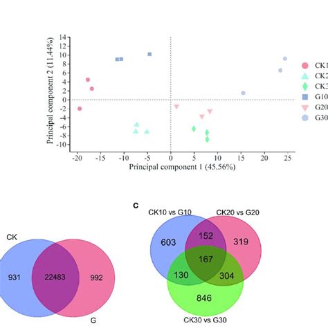 Principal Component Analysis And Gene Expression A Principal
