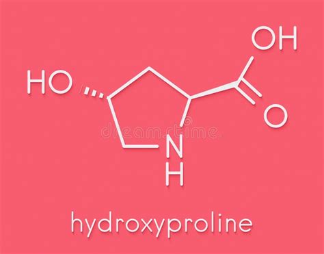 Hydroxyproline Hyp Amino Acid Essential Component Of Collagen Skeletal Formula Stock
