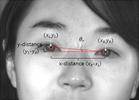 enhanced iris recognition method based on multi unit iris images