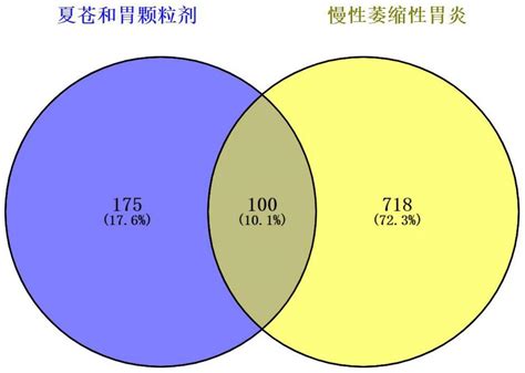 一种基于网络药理及分子对接技术分析药物作用机制的方法