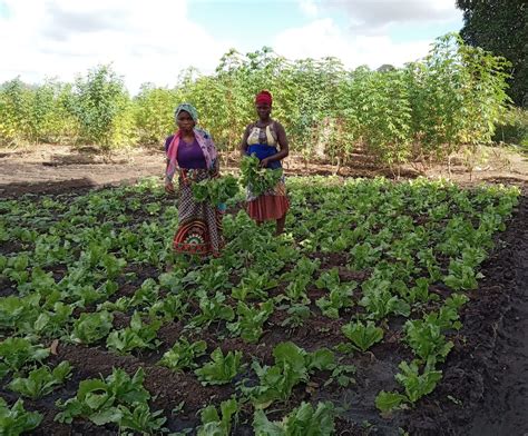 Unicef Moçambique On Twitter Rt Tomoko87719774 Exciting To See