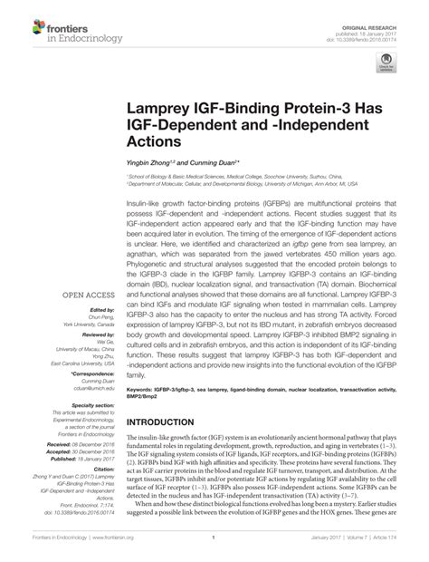 Pdf Lamprey Igf Binding Protein 3 Has Igf Dependent And Independent Actions