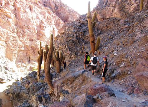 Go Trekking In The Atacama Desert San Pedro Chile Andean Trails