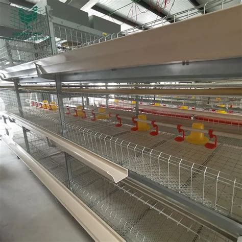 Poultry Farm Automatic 3 Tier H Type Broiler Chicken Cage With