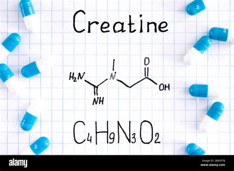 Chemical Structure Of Creatine Phosphate At Heidi Tan Blog