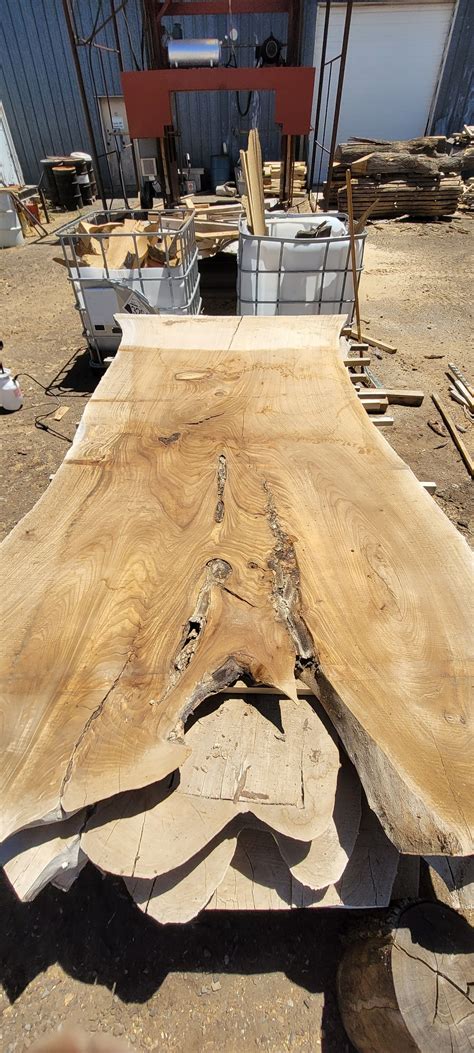 Siberian Elm Slabs My Site