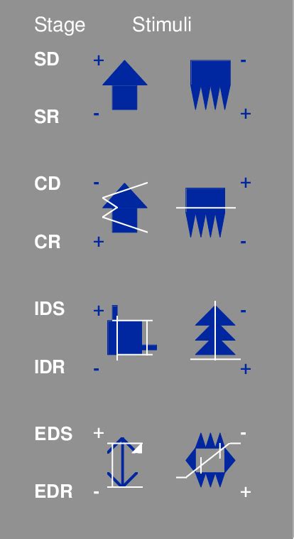 An Example Of The Test Sequence Employed Download Scientific Diagram