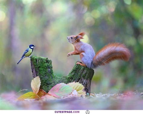Cute Pictures