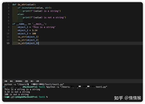 Python 环境下如何判断字符串类型？ 知乎