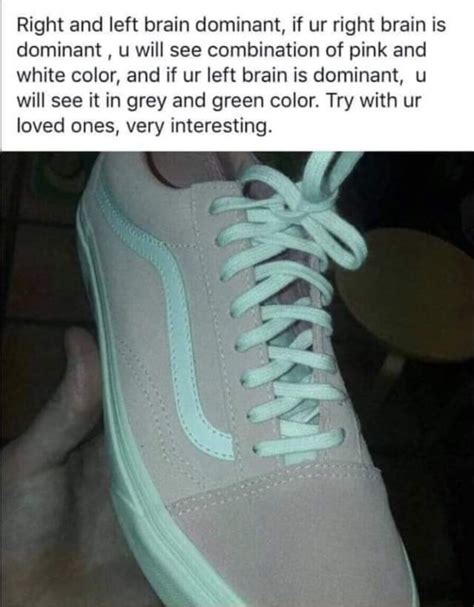 Green And Blue And The Pink And White Vans Colvin Cuses1986