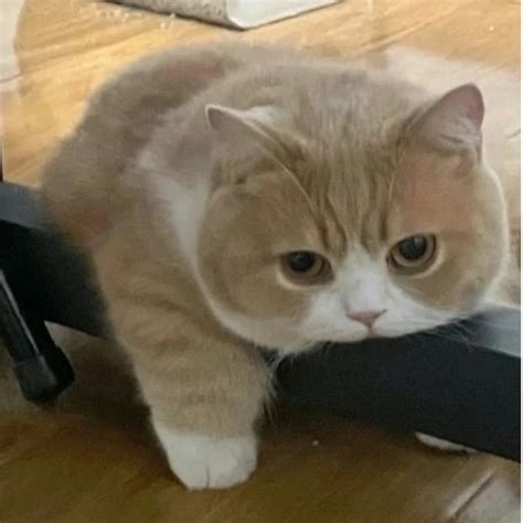 小说推文，知乎拉新，网盘拉新项目【其他供需】